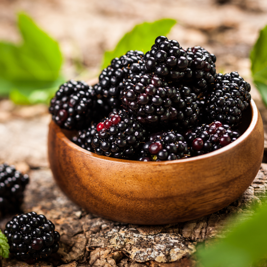 Blackberry – Fam Plants