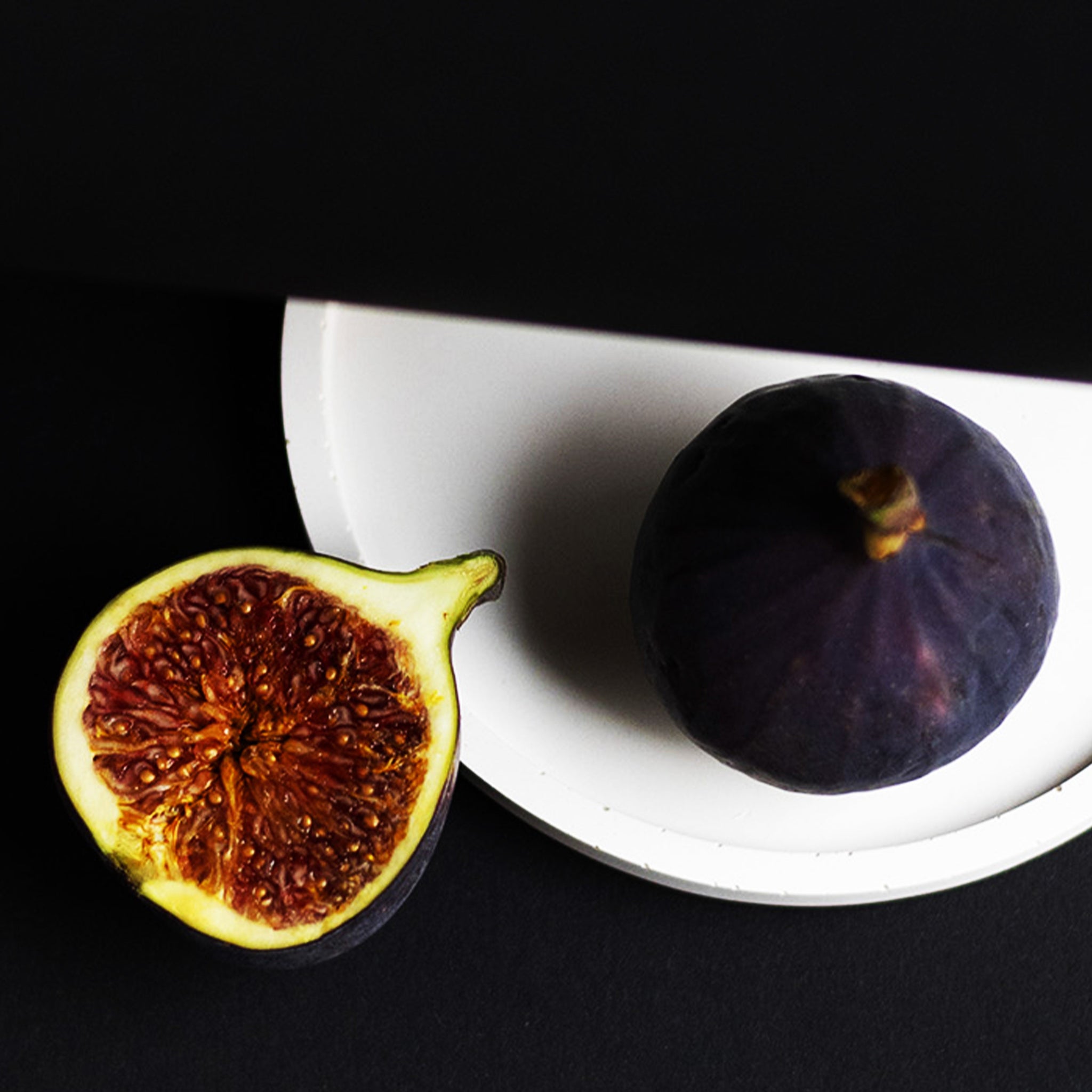 Fig Tree "Black Mission" Set of 4 starter live plants – Fam Plants