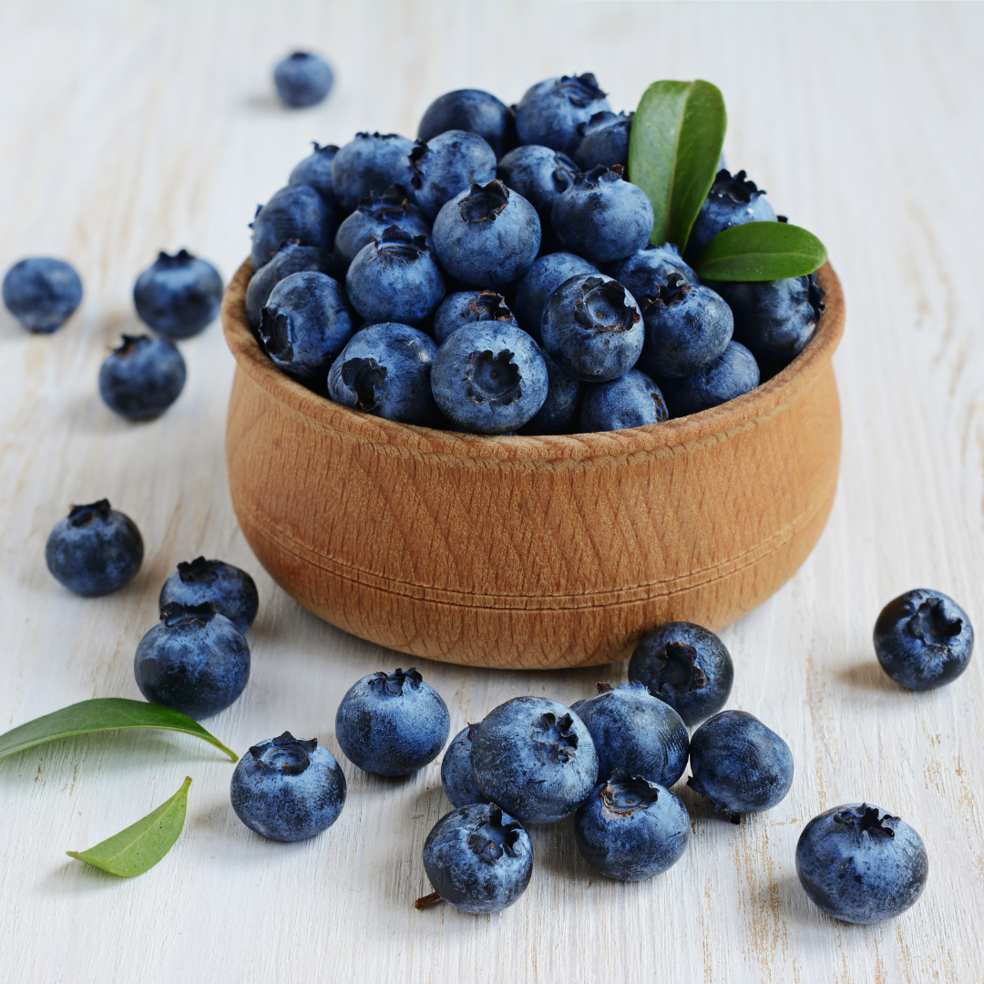 Blueberry "Reka". Set of 4 starter live plants – Fam Plants